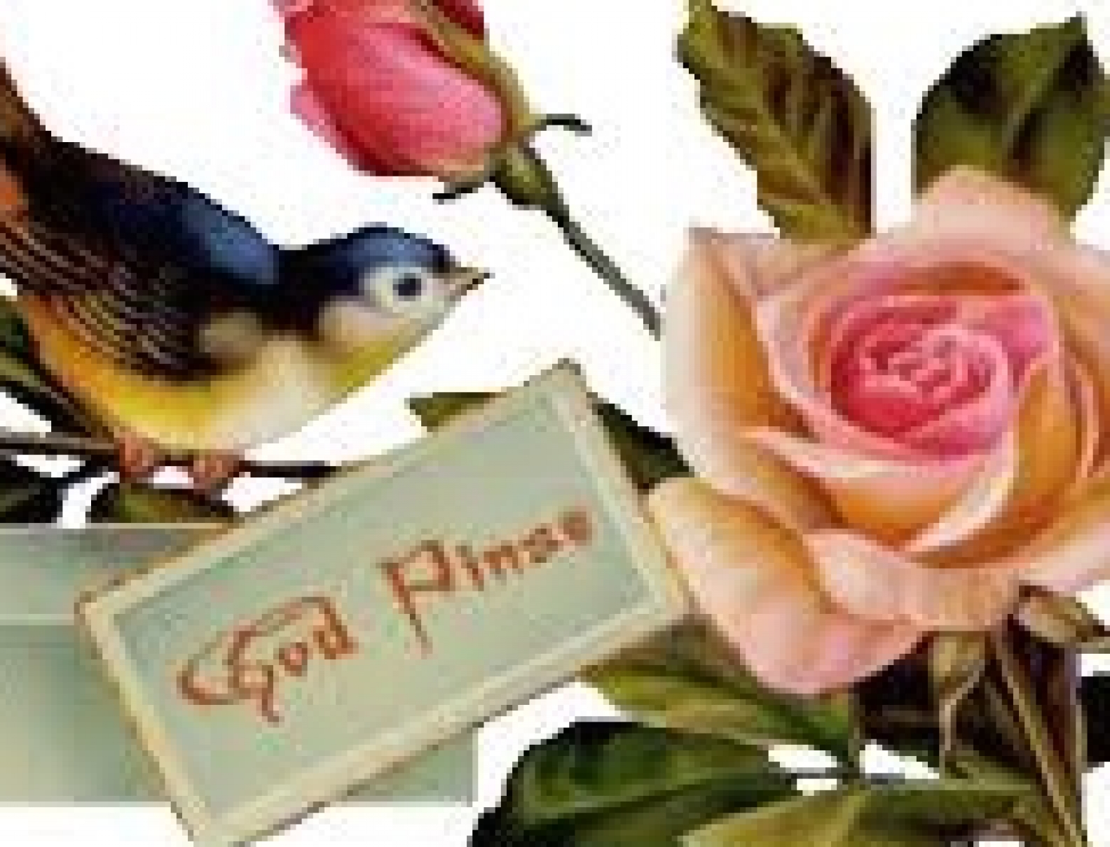 GOD PINSE – Vi er retur tirsdag d.17.maj - Teatret ved Sorte Hest